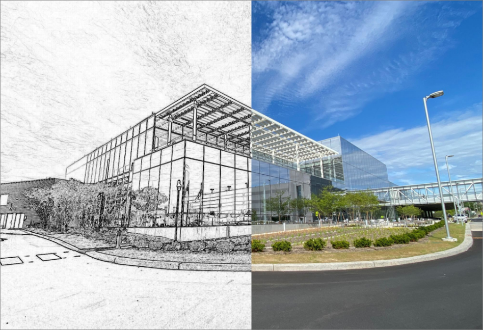 Fostering a culture of innovation through collaboration